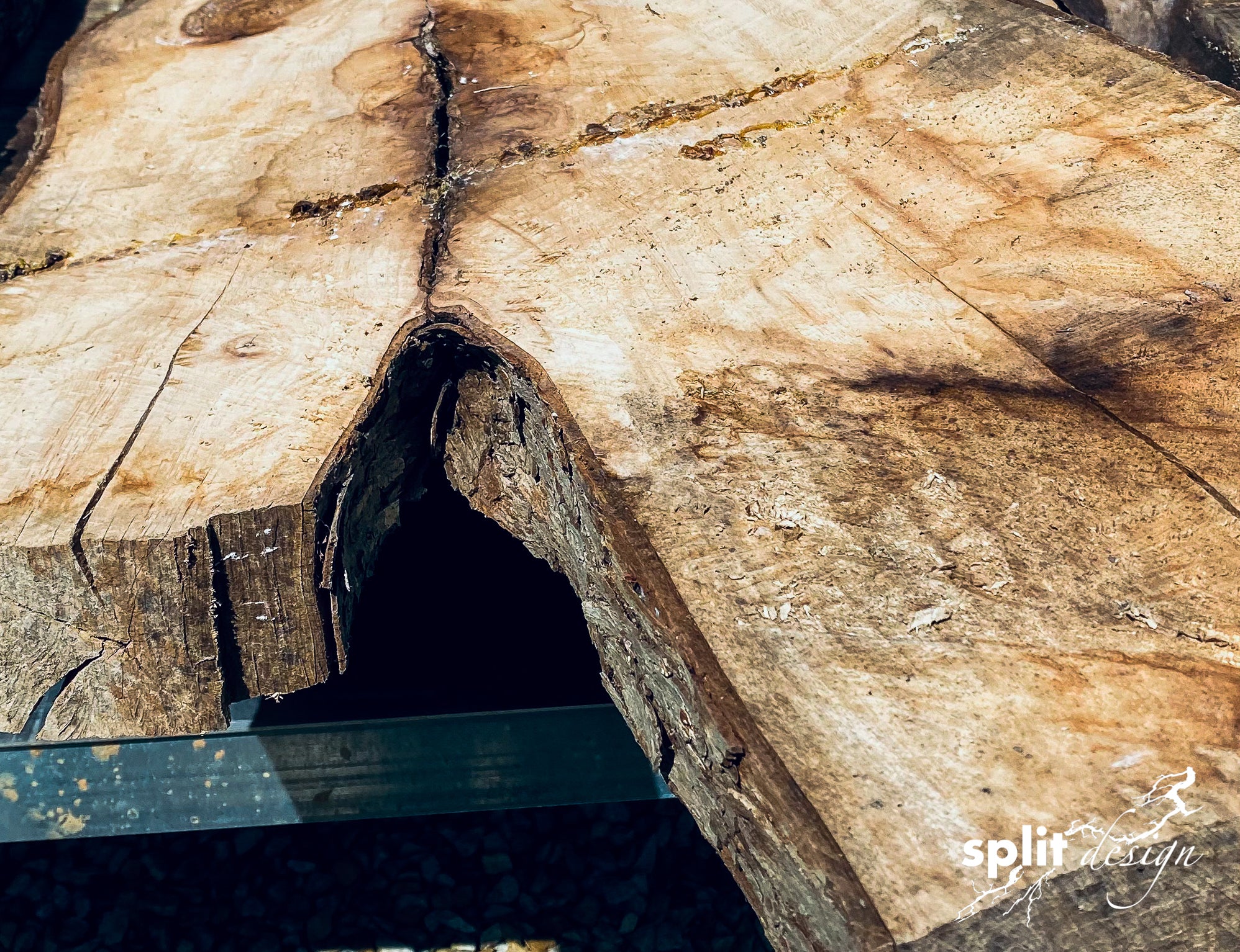 A New Species – Split Design Timber & Resin Designs