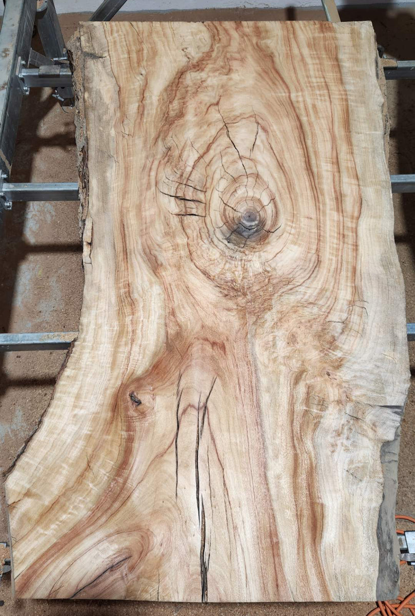 Camphor Laurel Timber Slab 1.83m – Split Design - Vanities, Cabinets ...