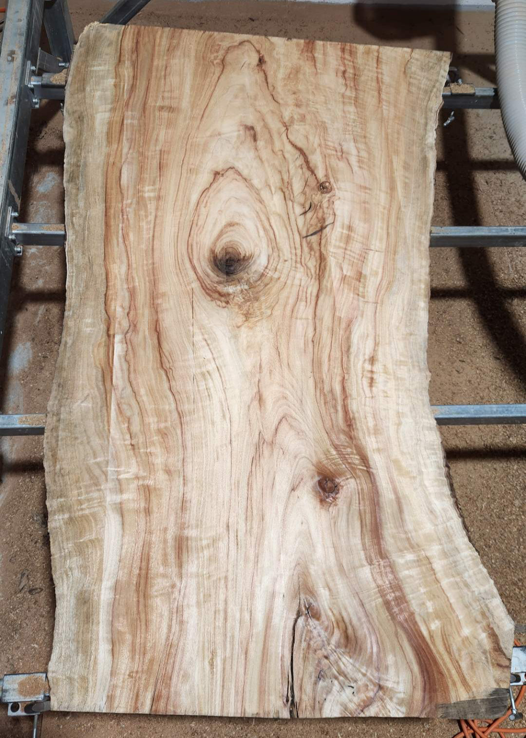 Camphor Laurel Timber Slab 1.83m – Split Design - Vanities, Cabinets ...